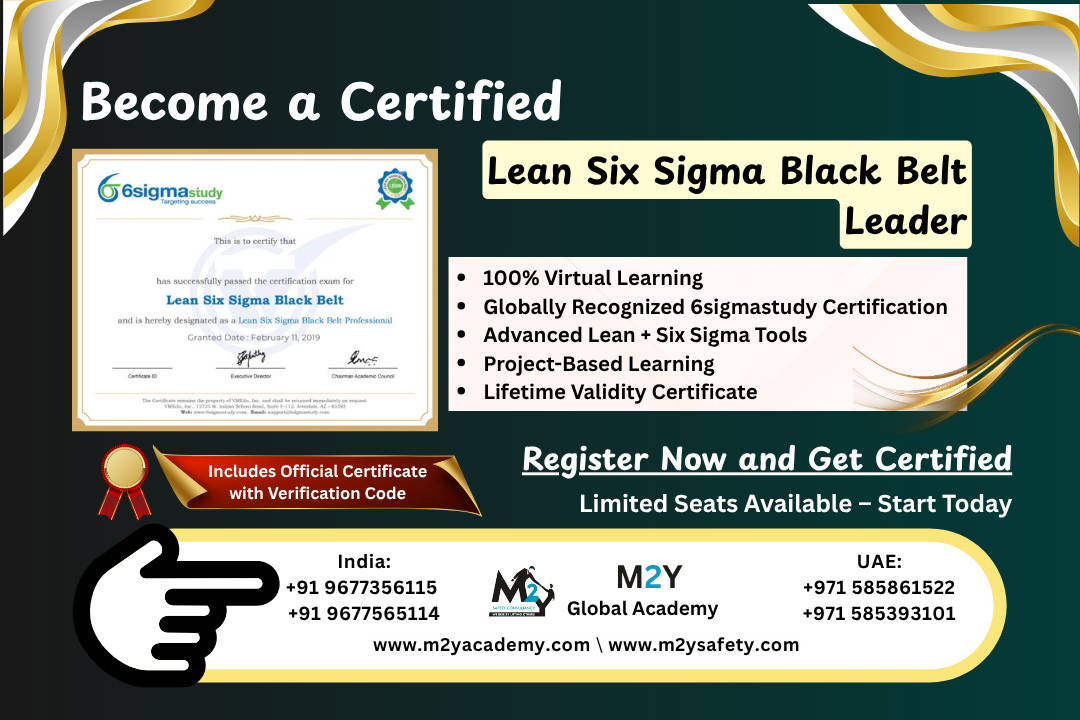 Lean Six Sigma Black Belt Certification Online | M2Y Academy